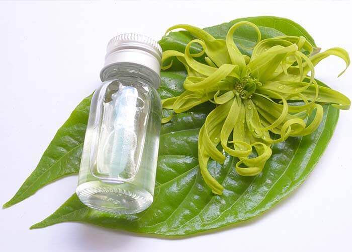 26 All Natural Beauty Tips For Any Skin Type - The Spa Dr.®